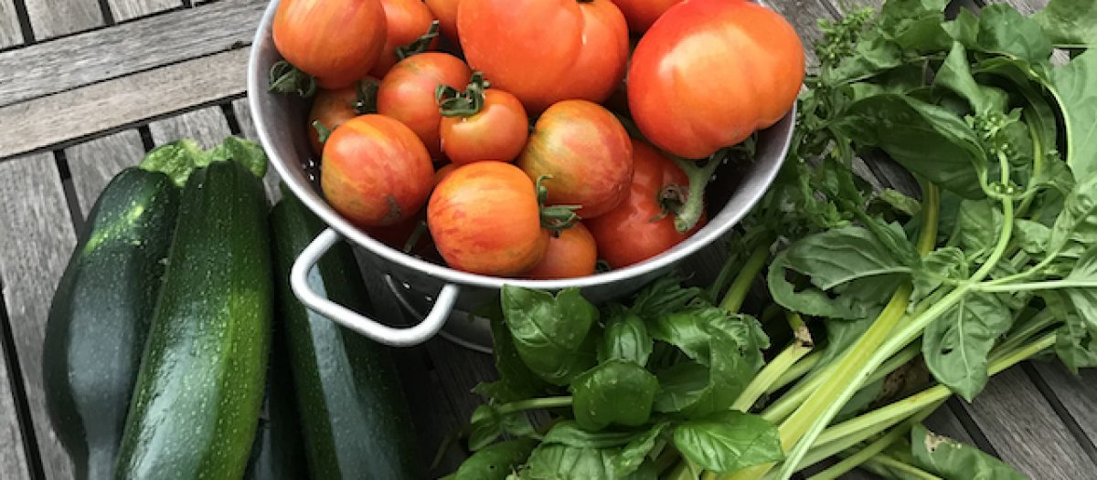 Sun-Ripened Goodness: Mr Organic Tomatoes - Infinity Foods