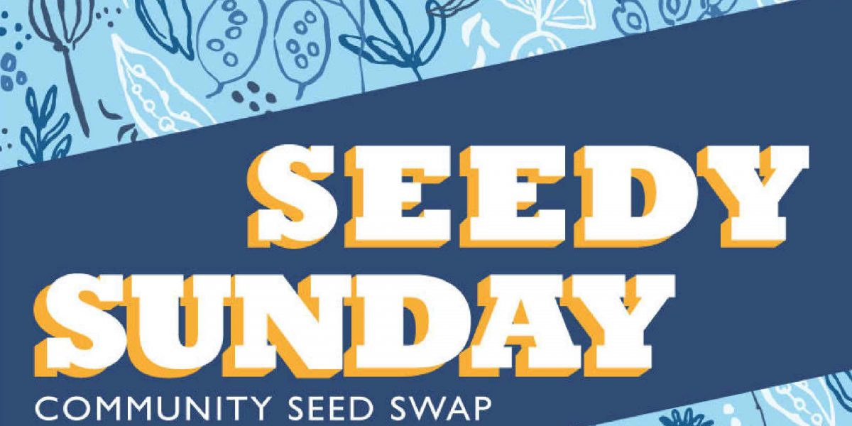 Seedy Sunday 2022 - Infinity Foods