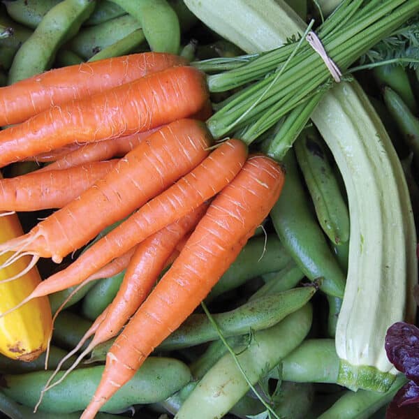 Foods - Infinity Foods